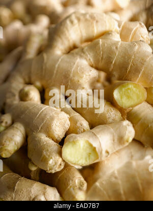 Ginger (Zingiber officinale Stock Photo - Alamy