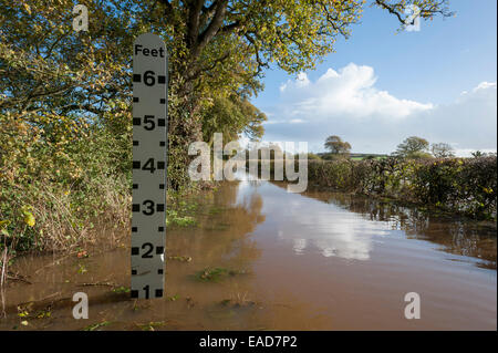 Flooding near Rewe, Exeter, Devon, UK, where the River Culm burst its ...