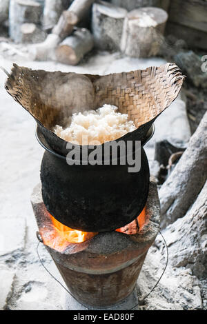 Boiling rice on an open fire in a rural indian village. Andhra Stock ...