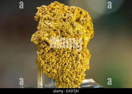 Gold in its natural form Stock Photo - Alamy