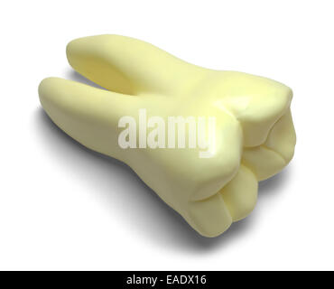 Human Teeth, Dental Model Stock Photo - Alamy
