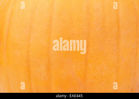 orange pumpkin skin texture background Stock Photo - Alamy
