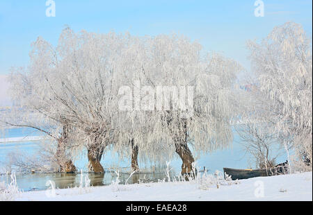 Frosty winter trees and boat near Danube river Stock Photo - Alamy