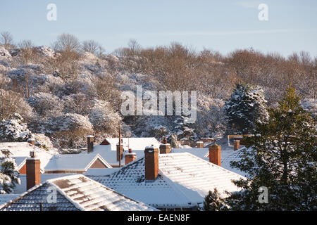 Wooded snow scene Stock Photo - Alamy