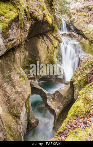 France, Isere, Parc Naturel Regional de Chartreuse (Natural regional ...