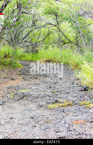 Trail to Captain Cook Monument Big Island Hawaii USA Stock Photo - Alamy