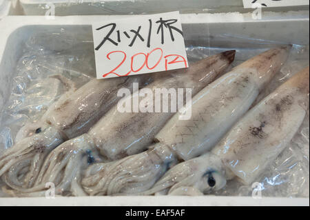 Fresh squid, Yari-Ika, for sale, Tsukiji Fish Market, Tokyo, Japan ...