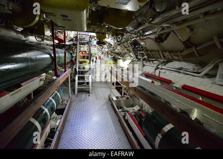 B-427 was a Project 641 (Foxtrot-class) diesel-electric attack ...