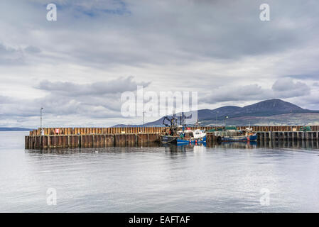 Boats in the harbour, Carradale, Argyll and Bute, Scotland Stock Photo ...
