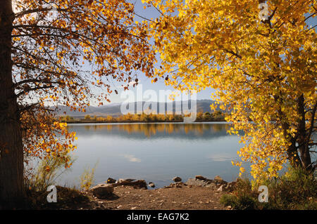 Autumn colours at Coot Lake, near Boulder Reservoir with distant views ...