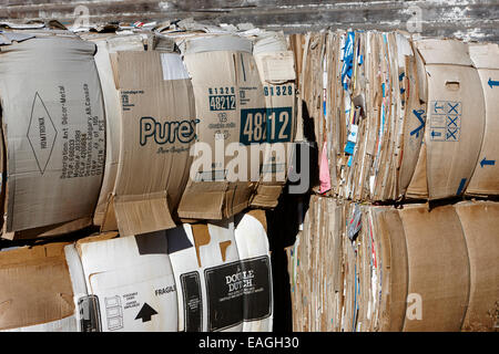 bales of cardboard for recycling Saskatchewan Canada Stock Photo - Alamy