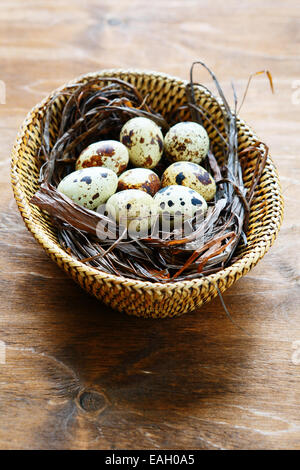 Wicker basket with fresh quail eggs and plant branch on grunge ...