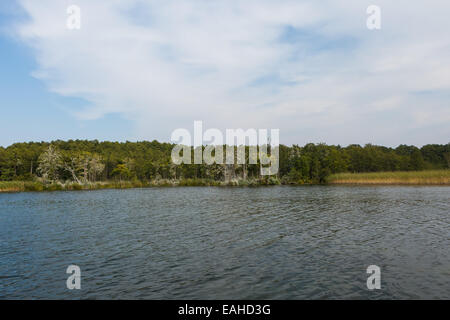 Mamry lake shore Stock Photo - Alamy