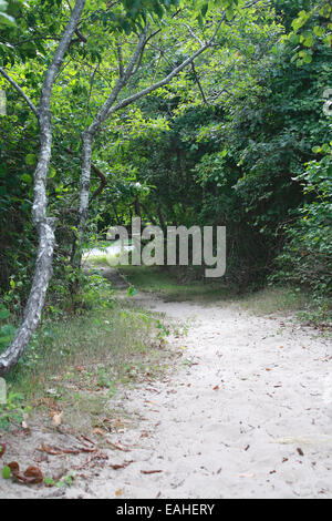 Gardiners Bay Shoreline Hamptons Beach Atlantic Ocean Long Island New ...