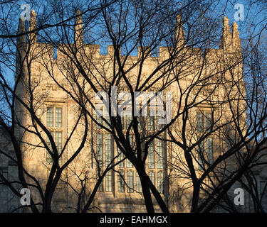 Thorvaldson building University of Saskatchewan Saskatoon Canada Stock ...