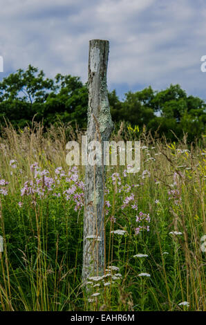 Trail blaze and hikers on trail Stock Photo - Alamy