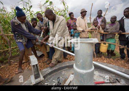 Community members in Sukuroi village, Bukwo District, Uganda work to ...