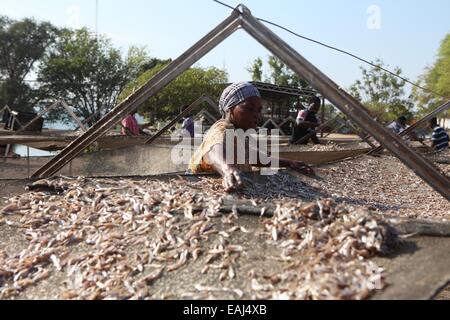 Kariba, Zimbabwe. 15th Nov, 2014. Locals dry bream near a fishing ...