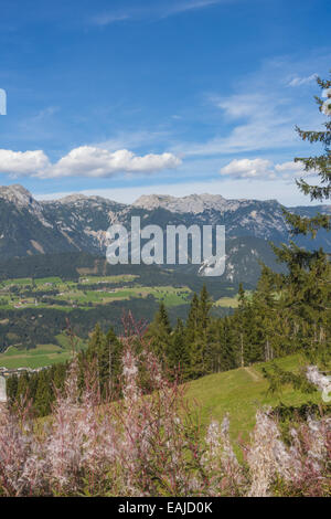 Planai, view to alps, Austria, Styria, Schladming Stock Photo - Alamy