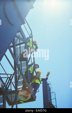 Low angle view of full body beautiful red tulips in a dutch field Stock ...