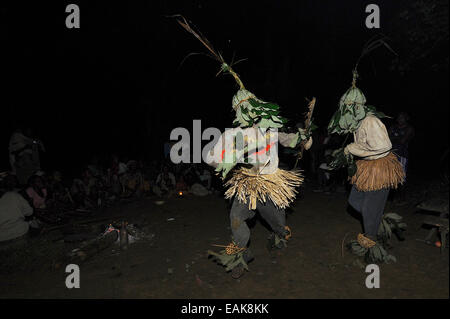Pygmies of the Bakola people celebrating with song and dance, at night ...