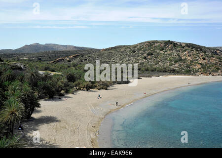 Palm beach of Vai with Cretan Date Palms, Crete, Greece, , Phoenix ...