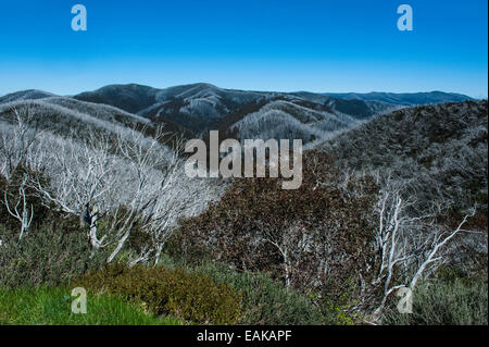 Overlooking the Victorian Alps mountain range, Victoria, Australia ...