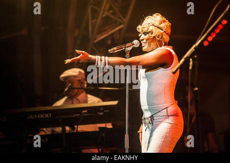 CHIC featuring Nile Rodgers,a singer Kimberly Davis at a live concert ...