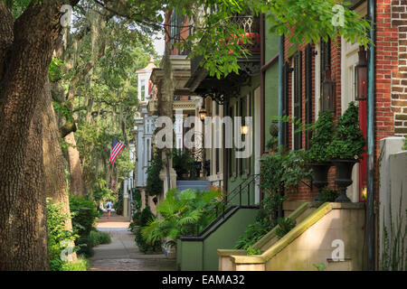 USA, GEORGIA, SAVANNAH, JONES STREET, LOCAL GARDEN Stock Photo - Alamy