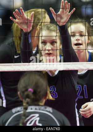 Cedar Rapids, Iowa, USA. 14th Nov, 2014. Dike-New Hartford's Briana ...