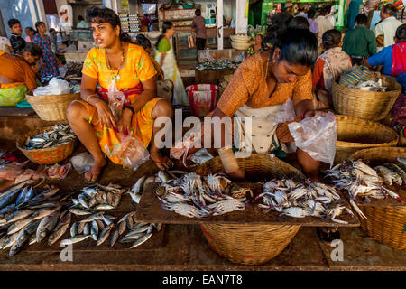 Fish Market, Calangute, Goa, India, Asia Stock Photo - Alamy