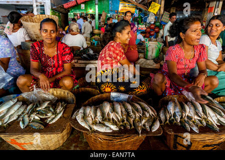 Fish Market, Calangute, Goa, India Stock Photo - Alamy