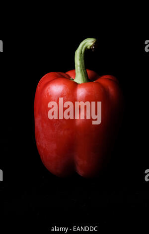 red pepper against red background Stock Photo - Alamy