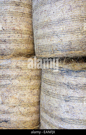 Closeup of a dry cut heap of hay after harvest. Zoom view of rough ...