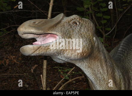 Probactrosaurus, a medium-sized late Cretaceous-era herbivorous ...