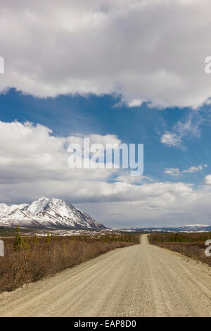 The Denali Highway Bridge Over The Susitna River With Clearwater ...