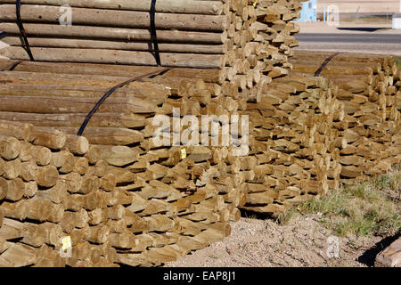 piles of wooden fencing poles at a mill Saskatchewan Canada Stock Photo ...