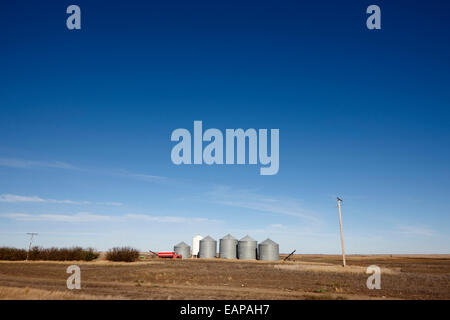 commercial grain storage bins on a farm Saskatchewan Canada Stock Photo ...