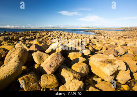 Sandstone rocks on the beach at Beadnell, Northumberland, UK Stock ...