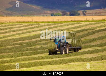 Tractor trailer hay bails Stock Photo - Alamy