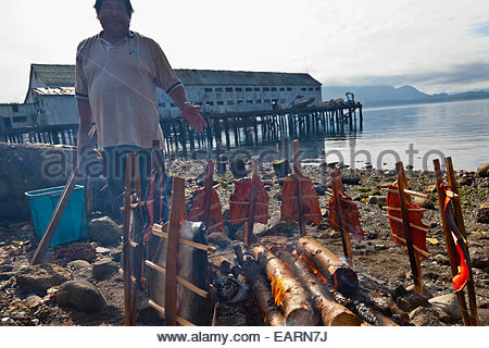 Traditional Native American Indian Salmon Fish Trap Weir on River ...