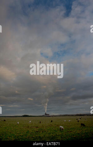Norbord factory at Dalcross near Inverness Stock Photo - Alamy