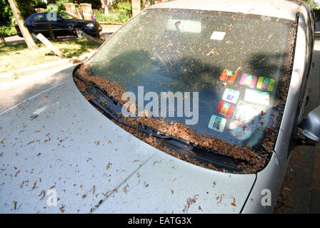 Swiss motorway toll sticker ("Vignette") at the windshield of a car in ...