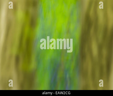 Abstract study of a Bluebell Woods Stock Photo - Alamy