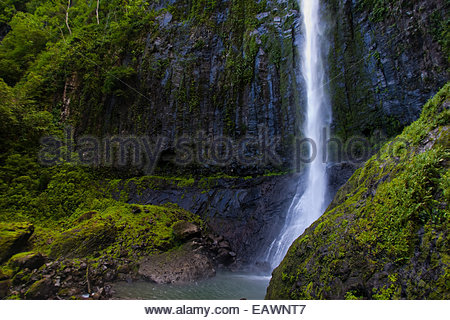 waterfall, Cocos Island national park, Costa Rica, East Pacific Ocean ...