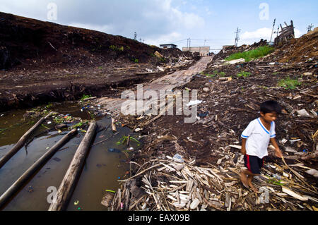 View of the brown dirty water of the Amazon River near Leticia ...