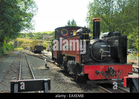 Steam Locomotive "Prince of Wales" at Devil's Bridge station Stock ...