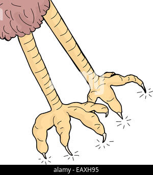 Sharp animal claws over isolated white background Stock Photo - Alamy