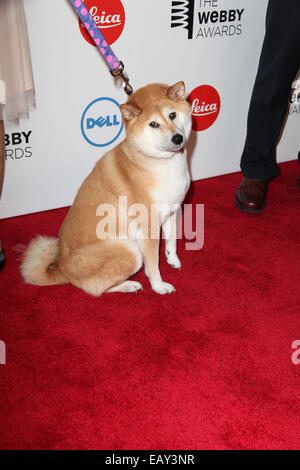 The 2014 Webby Awards at Cipriani Wall Street - Arrivals Featuring ...