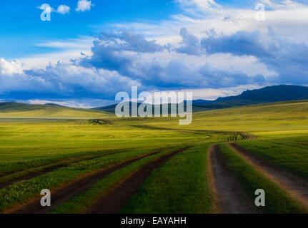 Tracks on the grasslands, Mongolian steppe, Mongolia Stock Photo - Alamy
